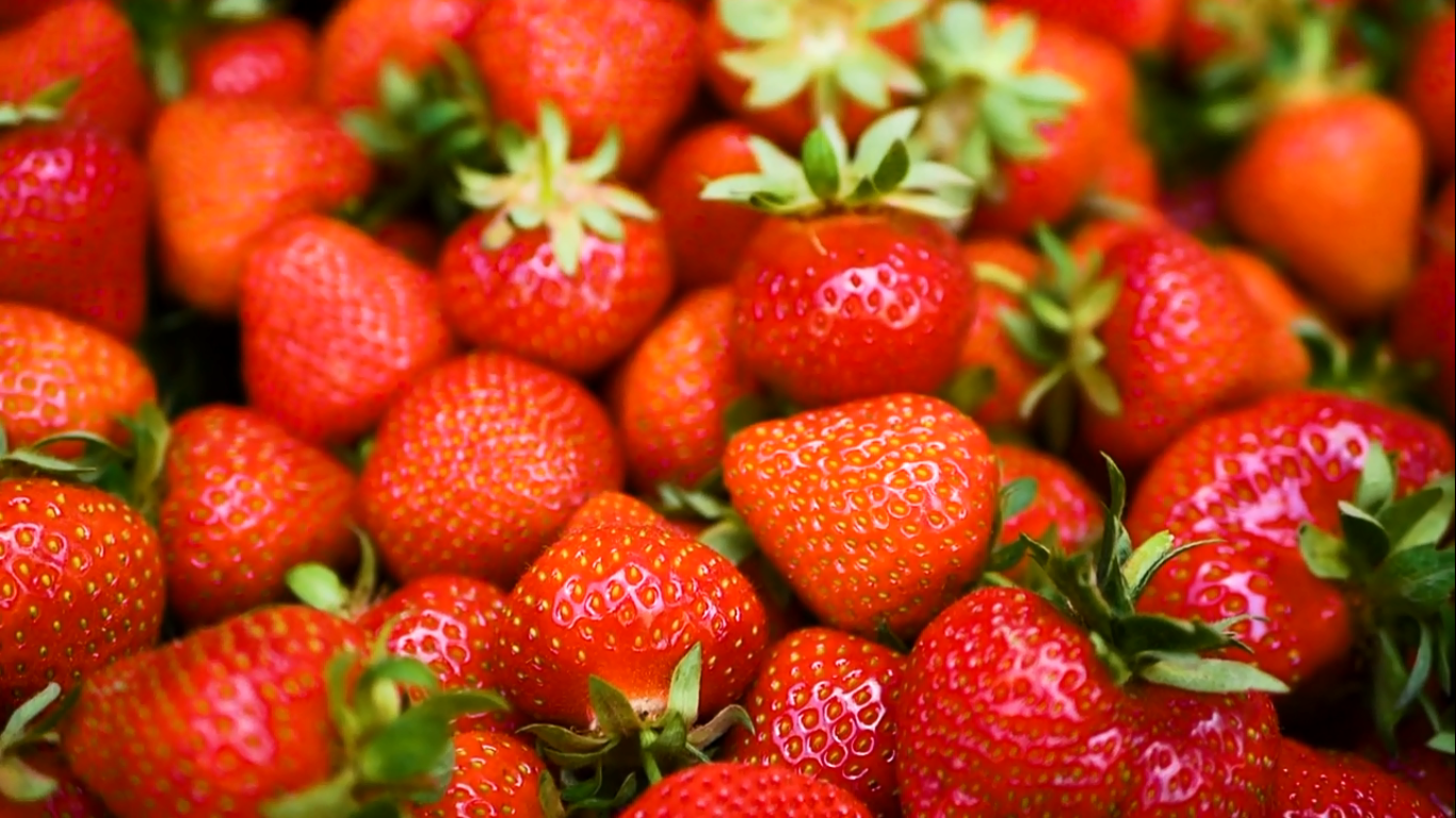 Jahodovo Malanta Nitra | TV Nitrička