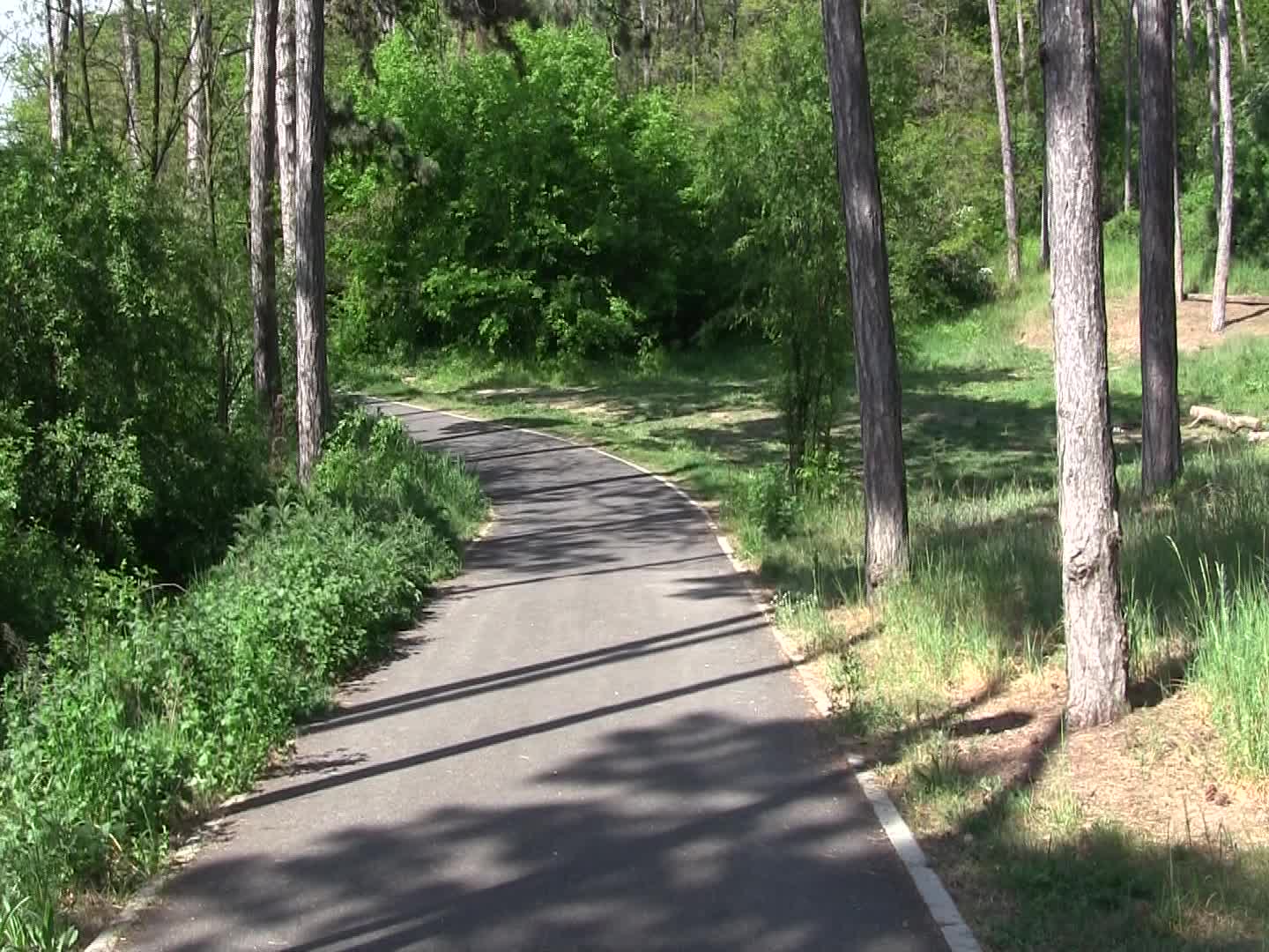 Revitalizácia Boriny | TV Nitrička