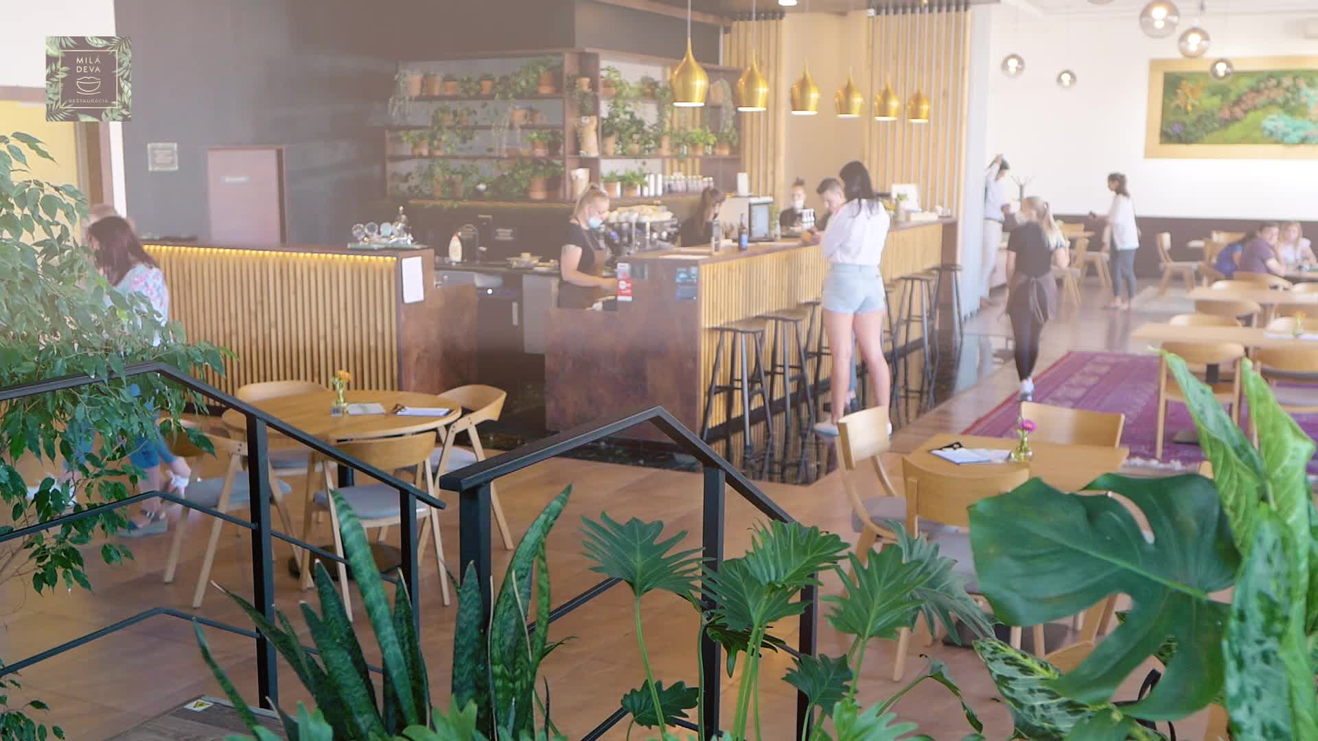 Reštaurácia Milá Deva – Pridajte sa knášmu tímu | TV Nitrička