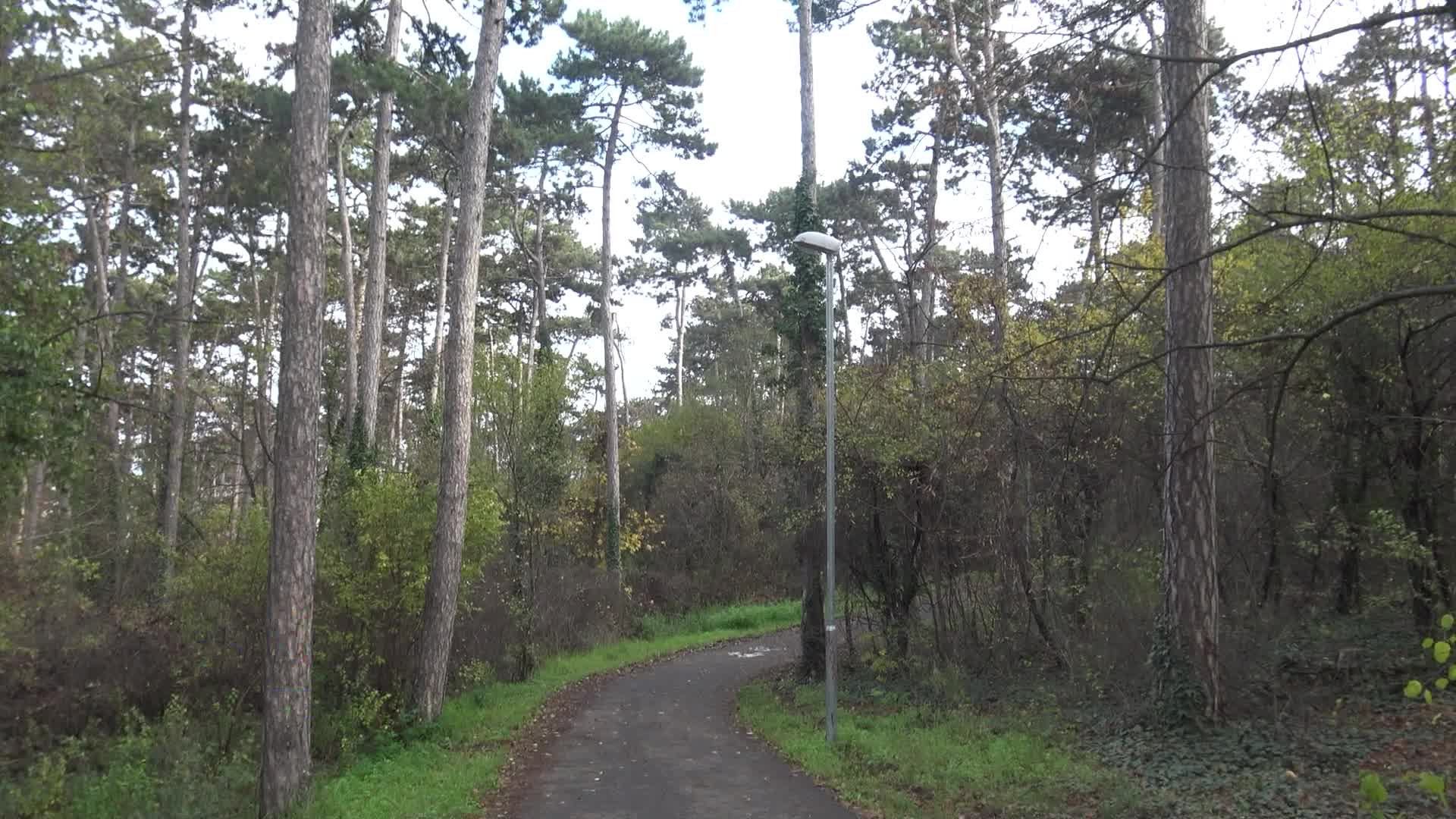 Ako pokročila revitalizácia Boriny? | TV Nitrička