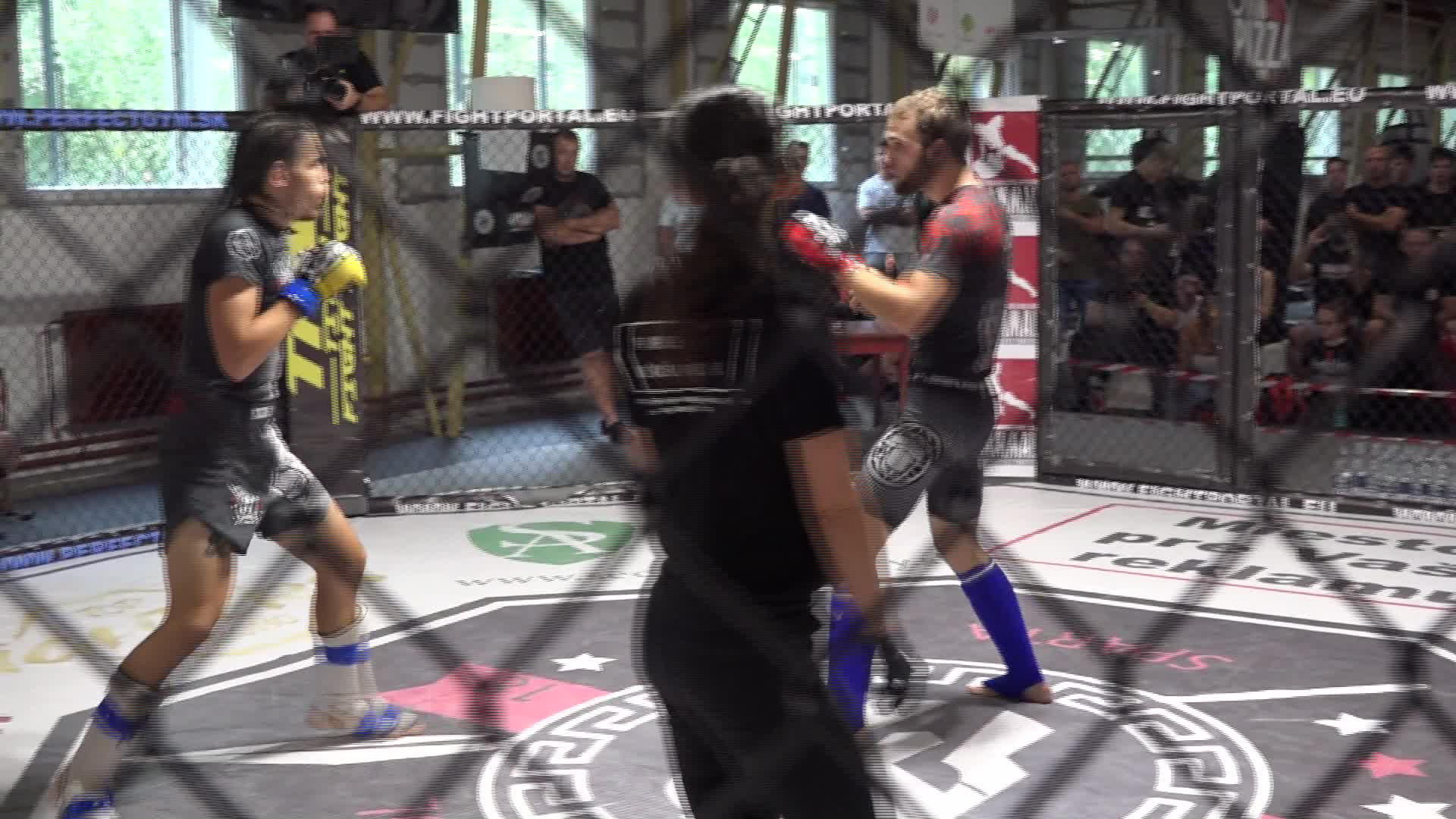 Amatéri v klietke | TV Nitrička