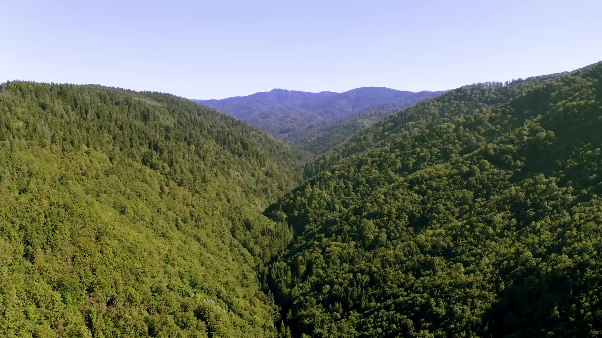 Sme LES – zelená energia | TV Nitrička